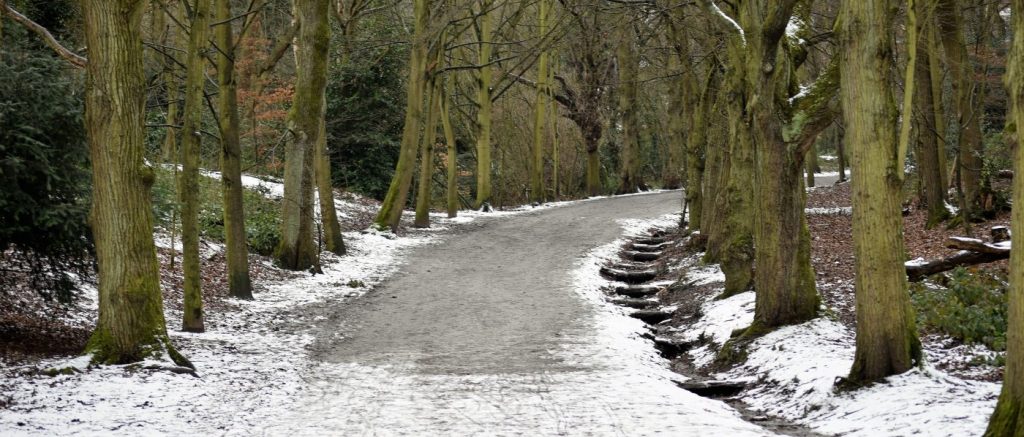 1400x598 Hampstead Heath winter · Forest Ramblers